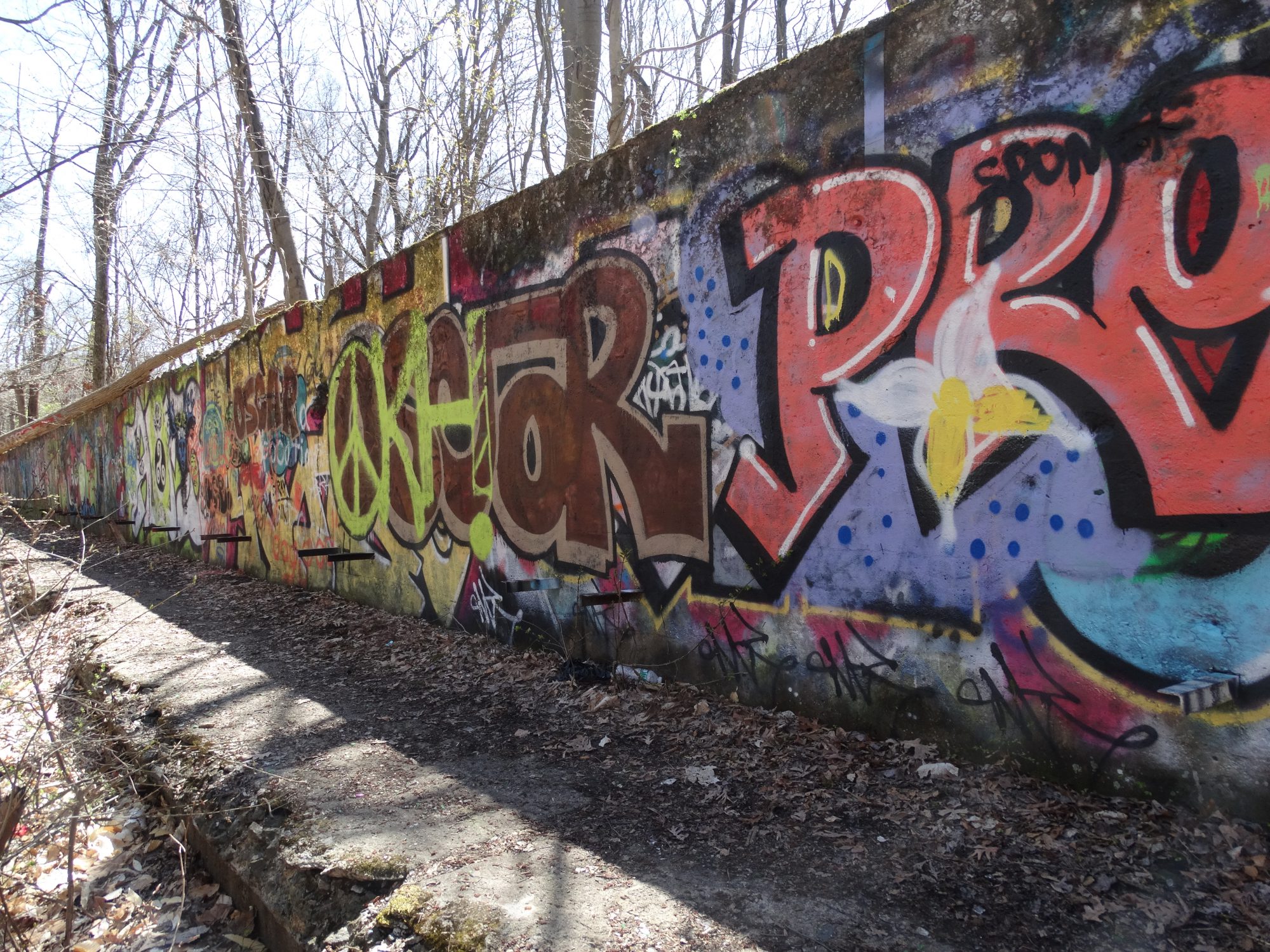 Blauvelt State Park – Camp Bluefields