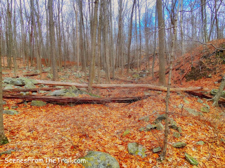 Cranberry Mine – Harriman State Park