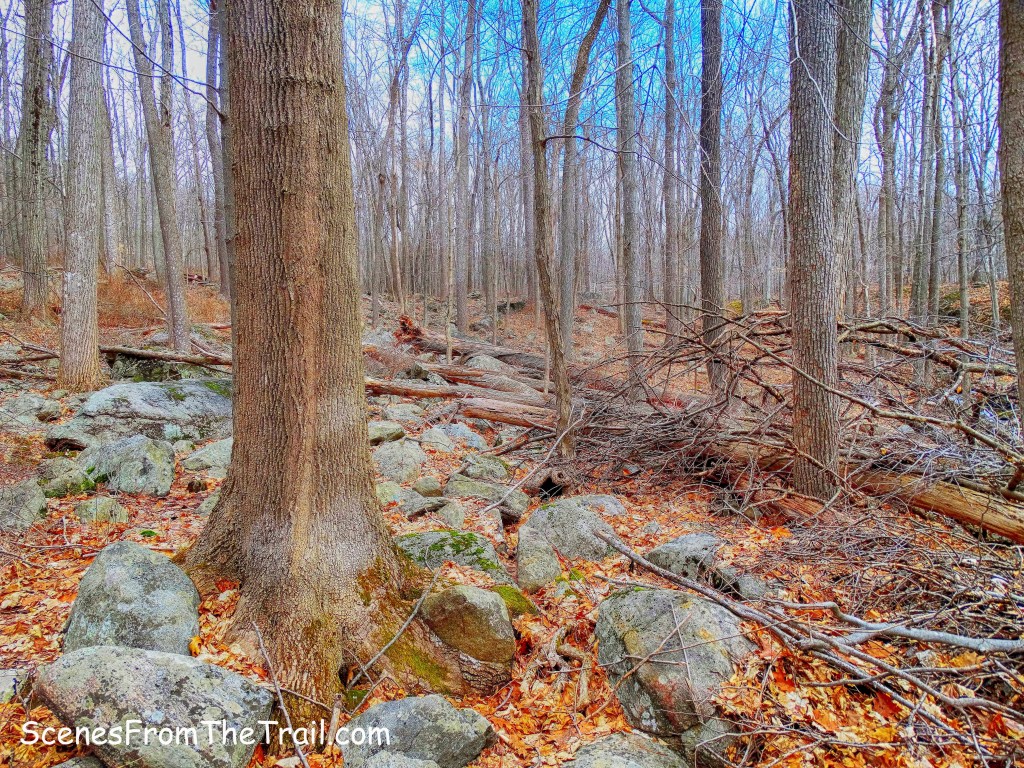 Cranberry Mine – Harriman State Park
