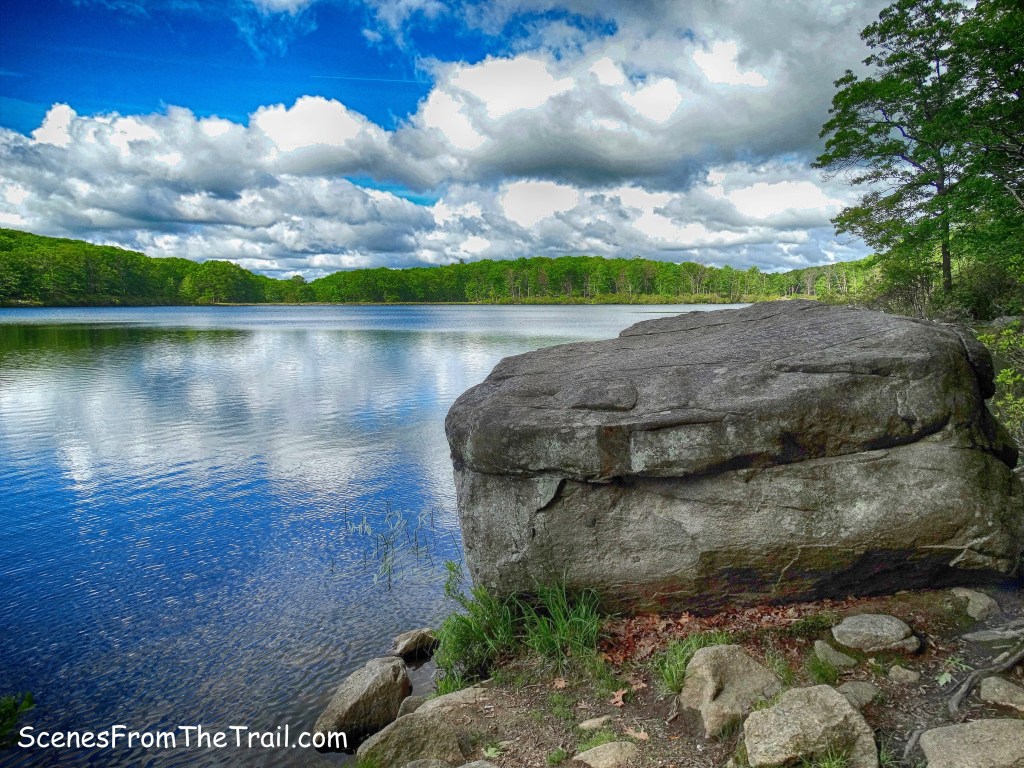 Pine Swamp Loop – Harriman State Park