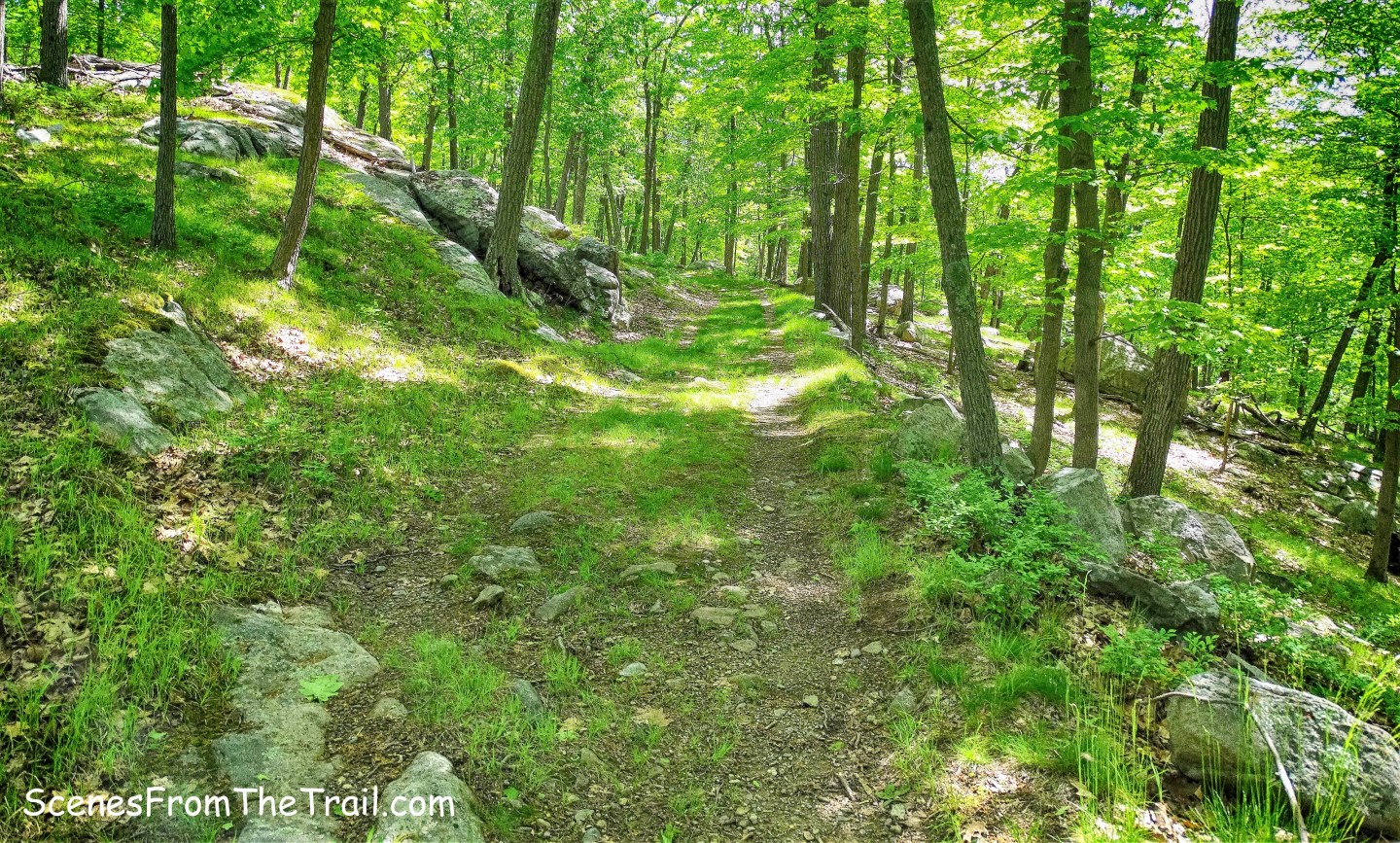 Pine Swamp Loop – Harriman State Park