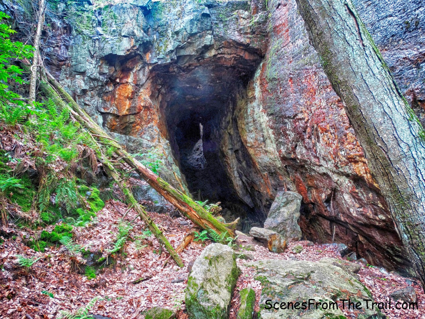 Pine Swamp Loop – Harriman State Park