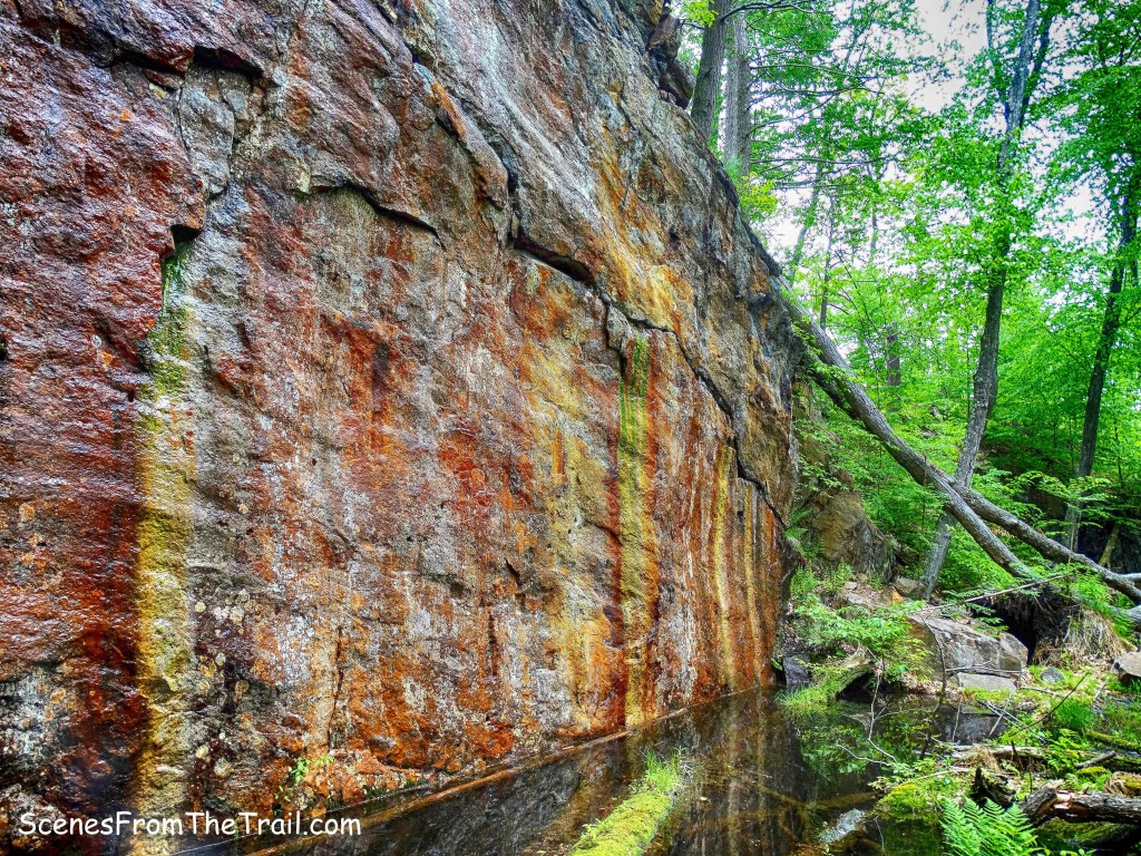 Pine Swamp Loop – Harriman State Park