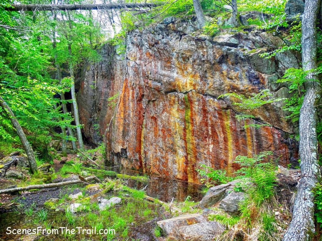 Pine Swamp Loop – Harriman State Park