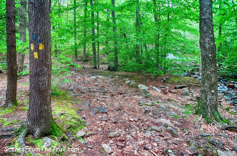 Pine Swamp Loop – Harriman State Park
