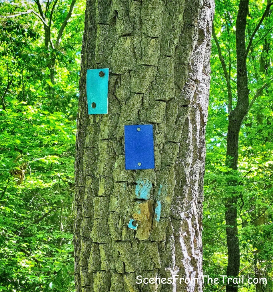 Rockhouse Mountain, Lake Askoti and Pine Swamp Mountain Loop – Harriman ...
