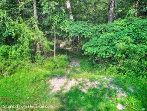 Mount Nebo – Clausland Mountain Loop