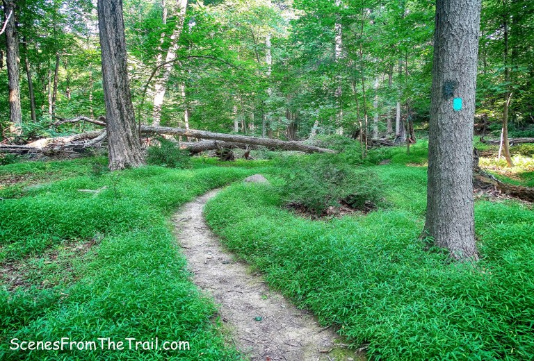 Mount Nebo – Clausland Mountain Loop