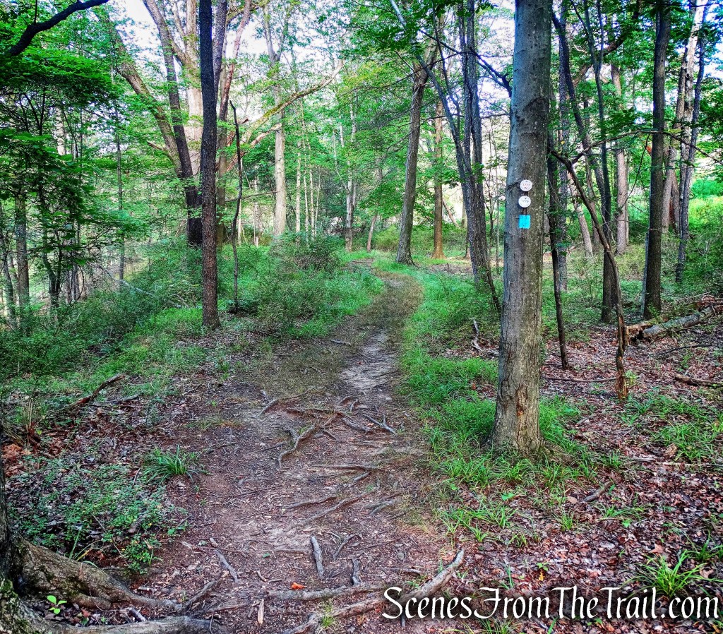 Popolopen Torne/Popolopen Gorge Loop – Bear Mountain State Park
