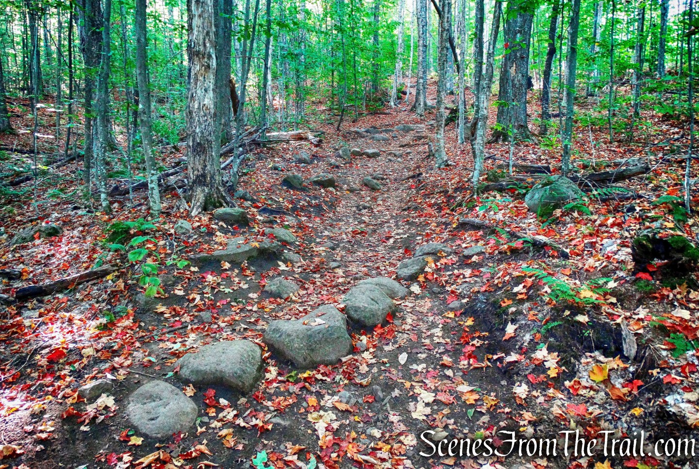 Mount Arab Fire Tower – Adirondack Park