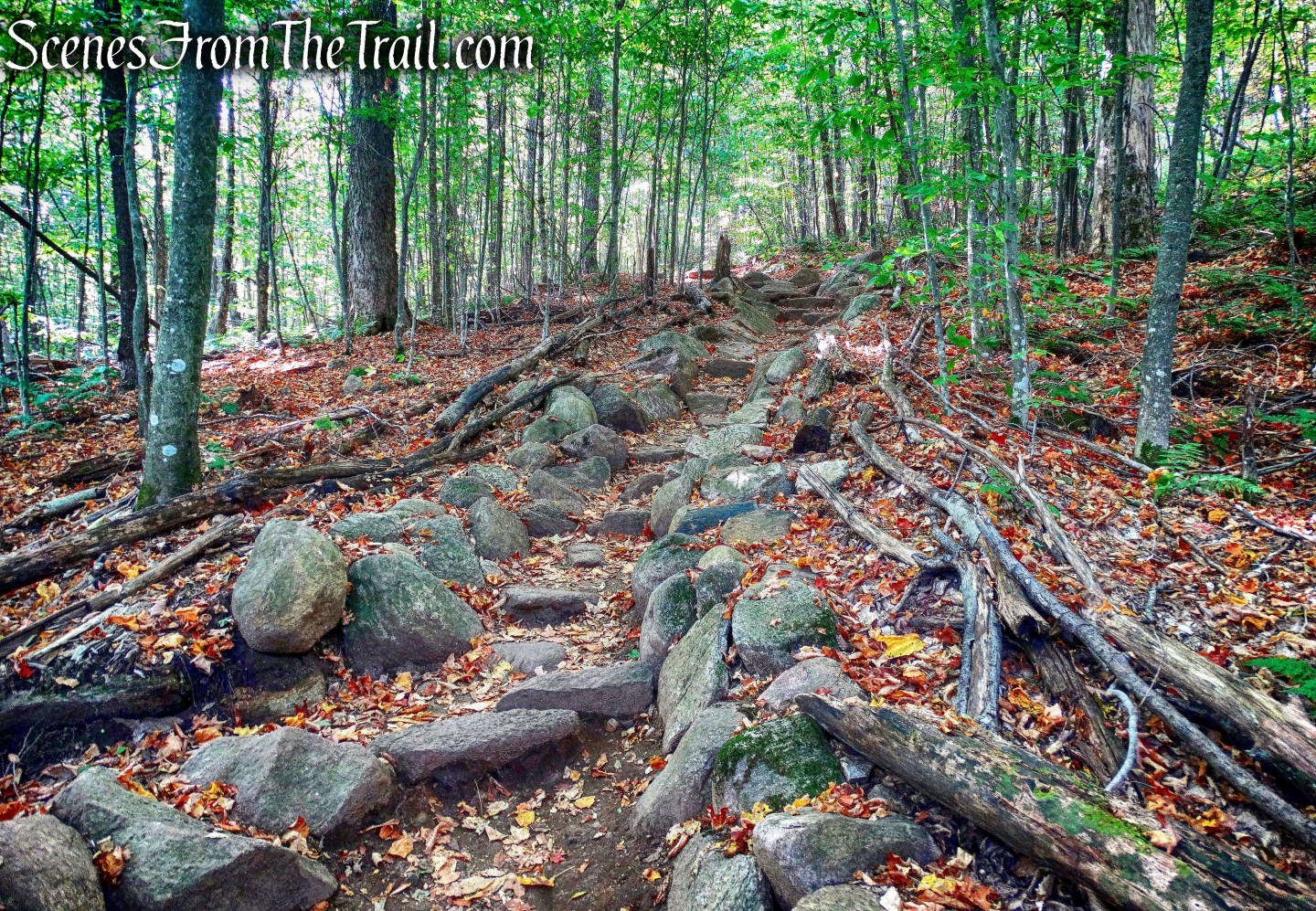 Mount Arab Fire Tower – Adirondack Park