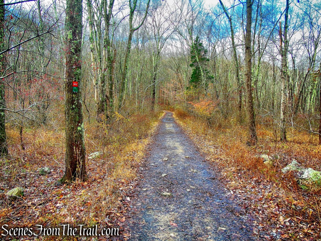 Leatherman’s Loop and Rocks Trail – Ward Pound Ridge Reservation