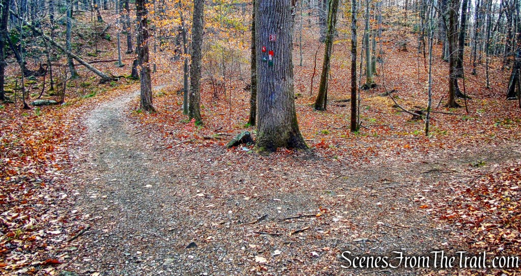 Leatherman’s Loop and Rocks Trail – Ward Pound Ridge Reservation