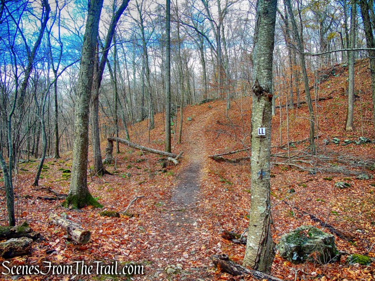 Leatherman’s Loop and Rocks Trail – Ward Pound Ridge Reservation