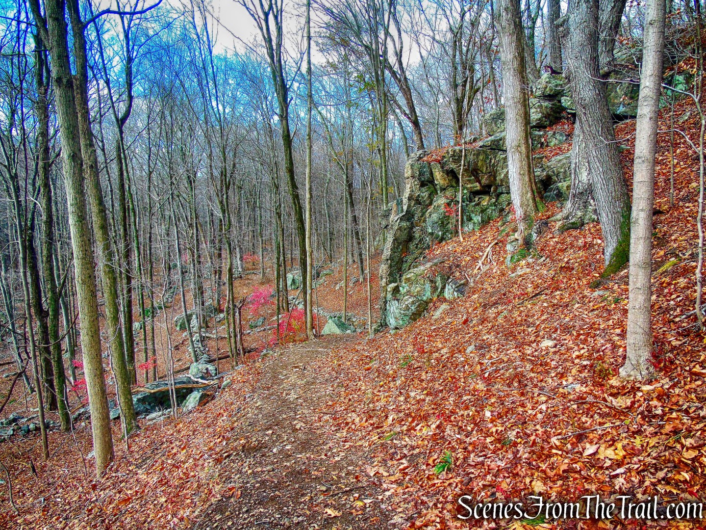Leatherman’s Loop and Rocks Trail – Ward Pound Ridge Reservation