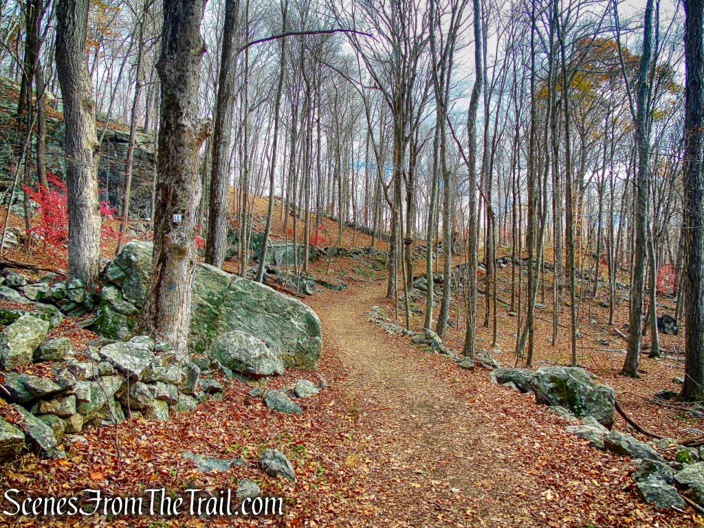Leatherman’s Loop and Rocks Trail – Ward Pound Ridge Reservation