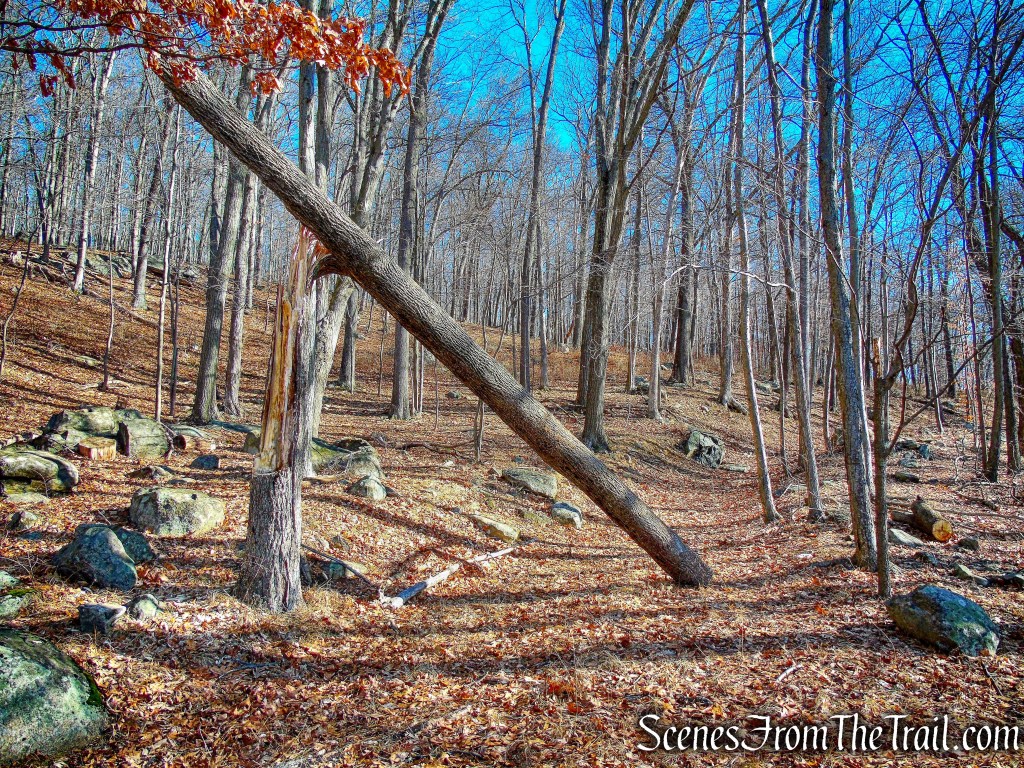 Cranberry Mine and Black Mountain Loop – Harriman State Park
