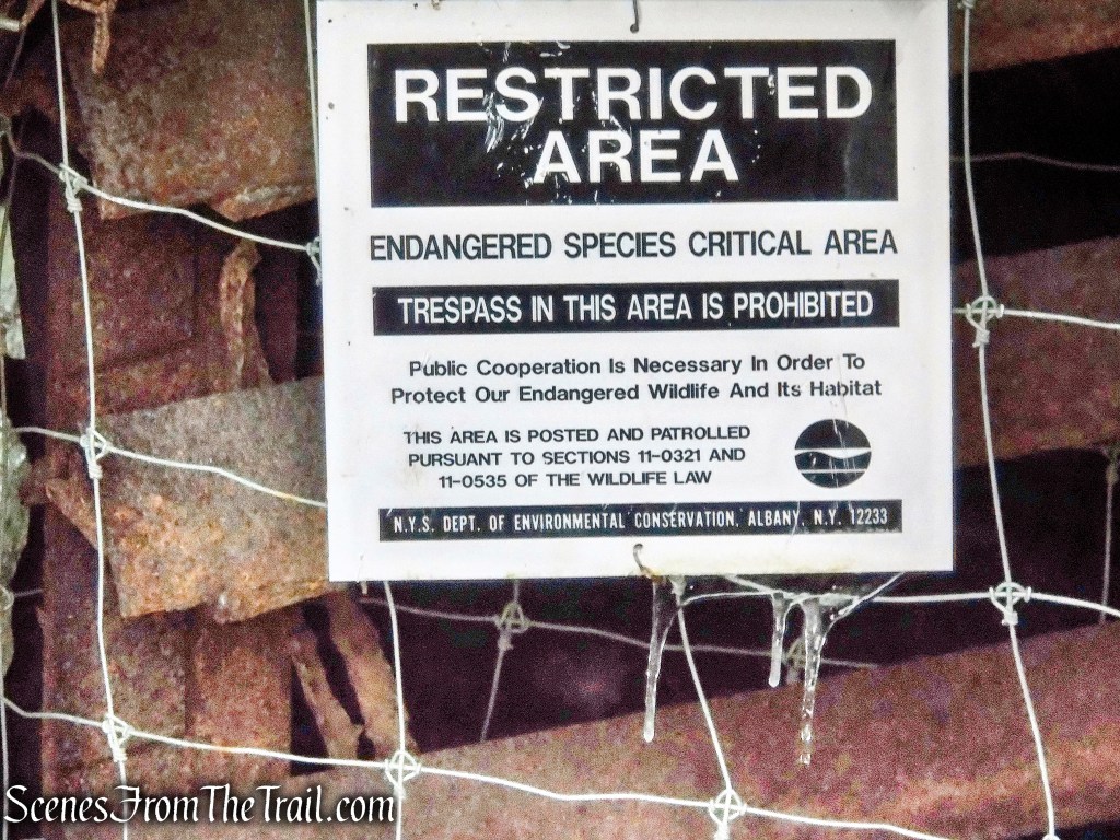 Cranberry Mine and Black Mountain Loop – Harriman State Park