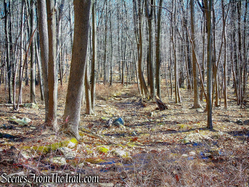 Cranberry Mine and Black Mountain Loop – Harriman State Park