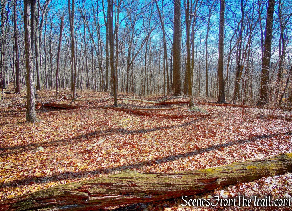 Cranberry Mine and Black Mountain Loop – Harriman State Park