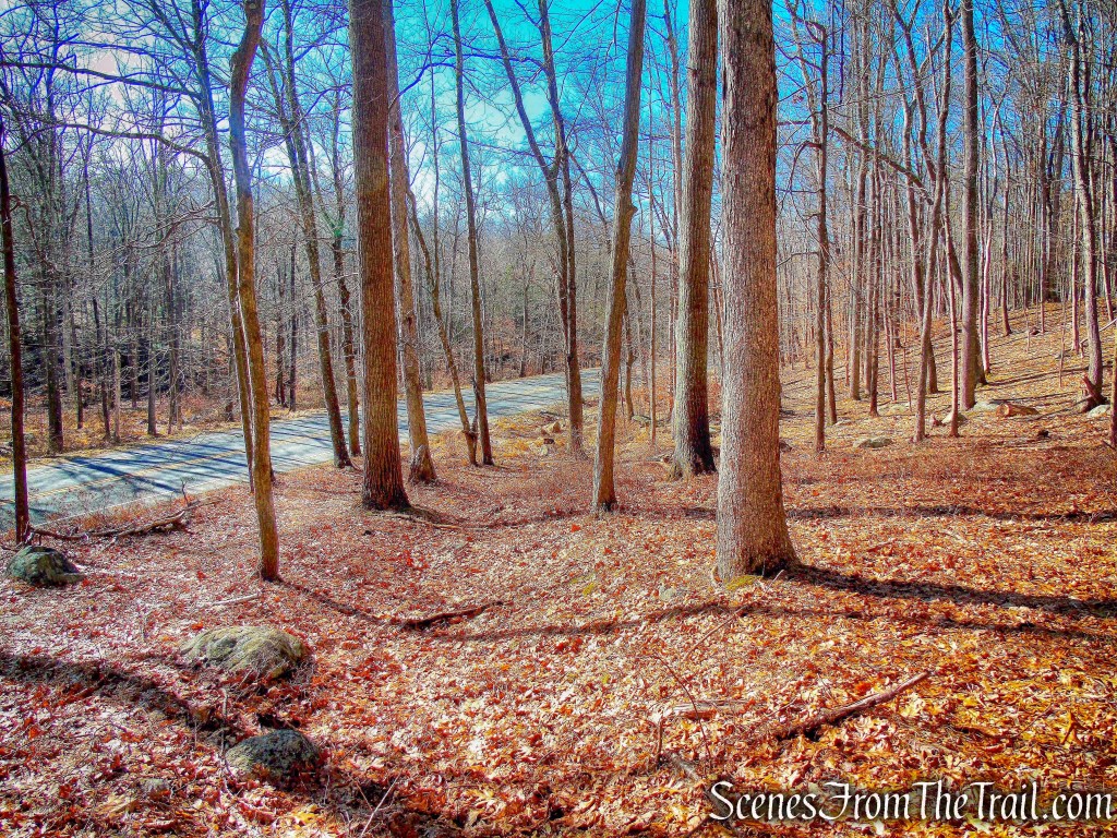 Cranberry Mine and Black Mountain Loop – Harriman State Park