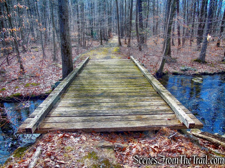 Cranberry Mine and Black Mountain Loop – Harriman State Park