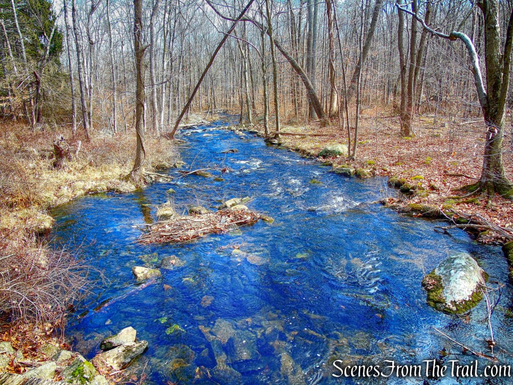 Cranberry Mine and Black Mountain Loop – Harriman State Park