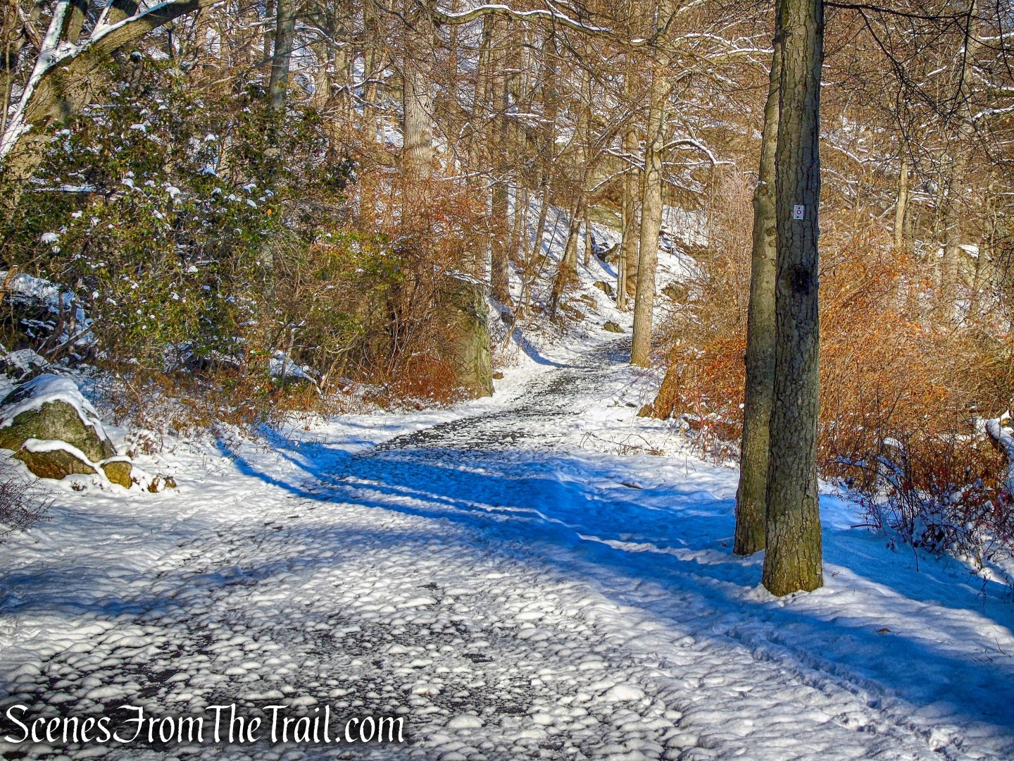Hessian Lake and Hudson River Dock Loop – Bear Mountain State Park