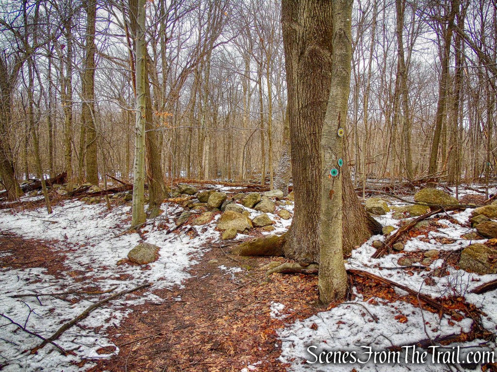 Mohegan Farm Ruins from Old Farm Trailhead