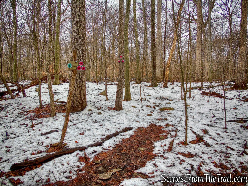 Mohegan Farm Ruins from Old Farm Trailhead