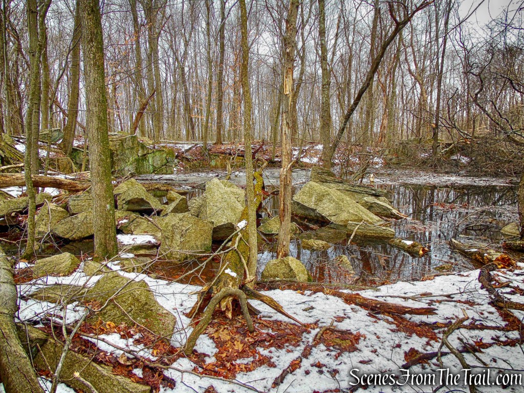 Mohegan Farm Ruins from Old Farm Trailhead