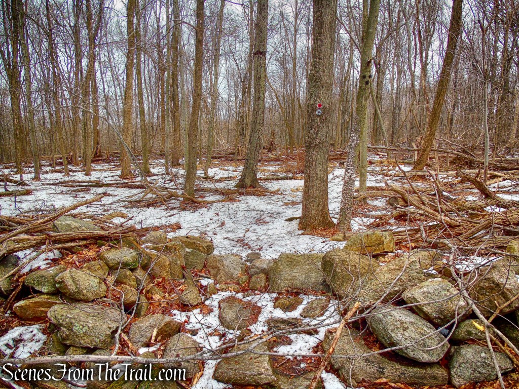 Mohegan Farm Ruins from Old Farm Trailhead