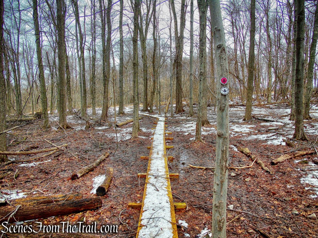 Mohegan Farm Ruins from Old Farm Trailhead