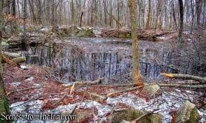 Mohegan Farm Ruins from Old Farm Trailhead