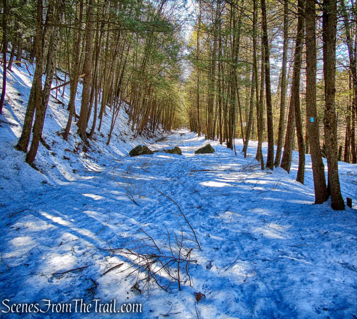 Steep Rock Preserve Loop