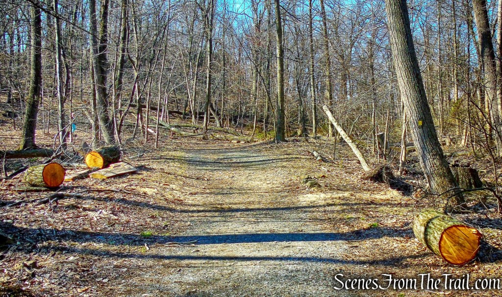 Yellow Trail Loop – Garret Mountain Reservation