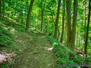 Brooks Lake and The Torne – Bear Mountain State Park