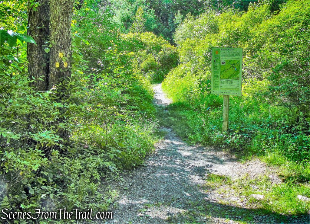 Rainbow Falls Loop – Minnewaska State Park Preserve