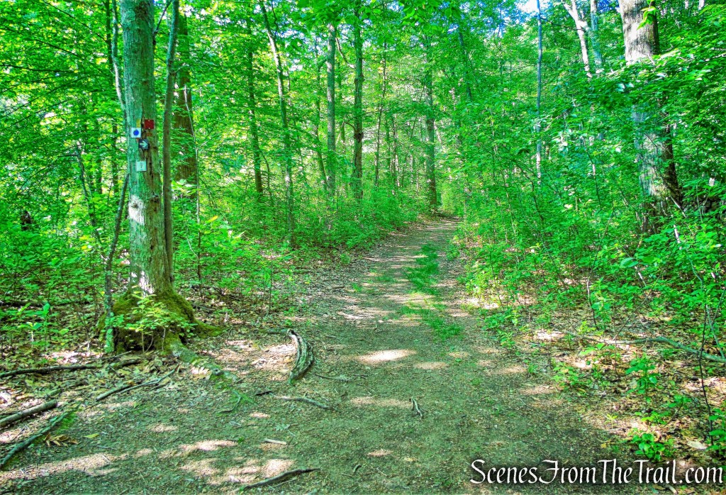 Cranberry Lake Preserve Loop
