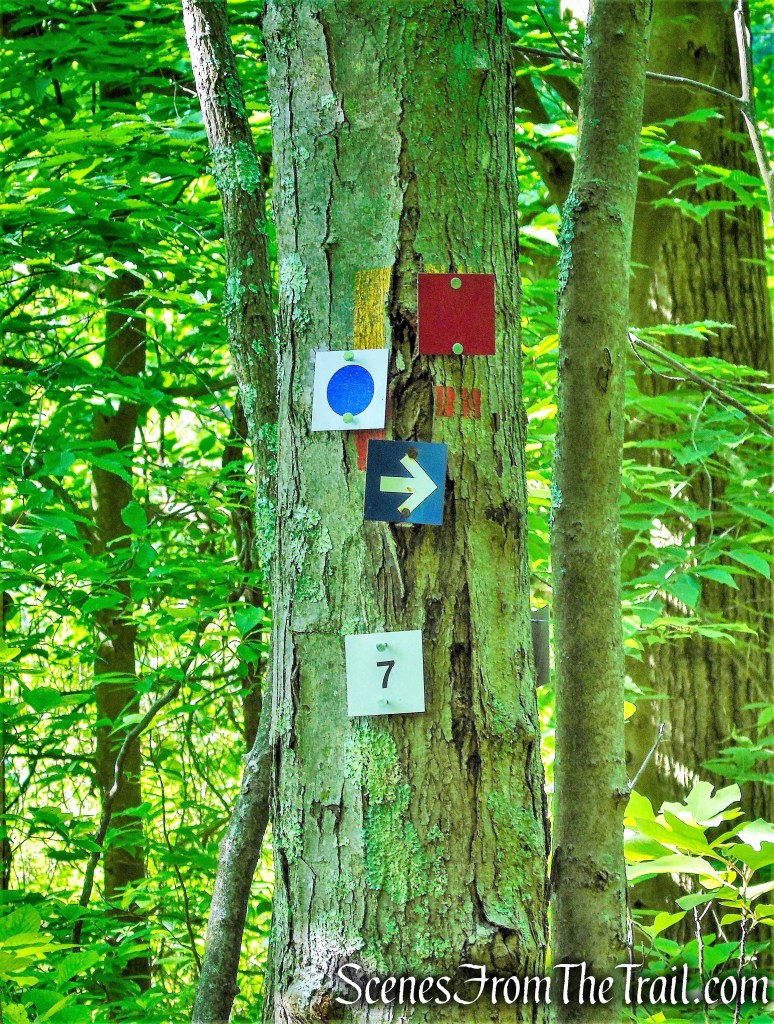 Cranberry Lake Preserve Loop