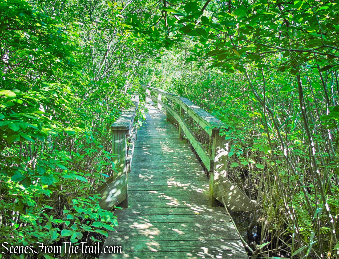 Cranberry Lake Preserve Loop