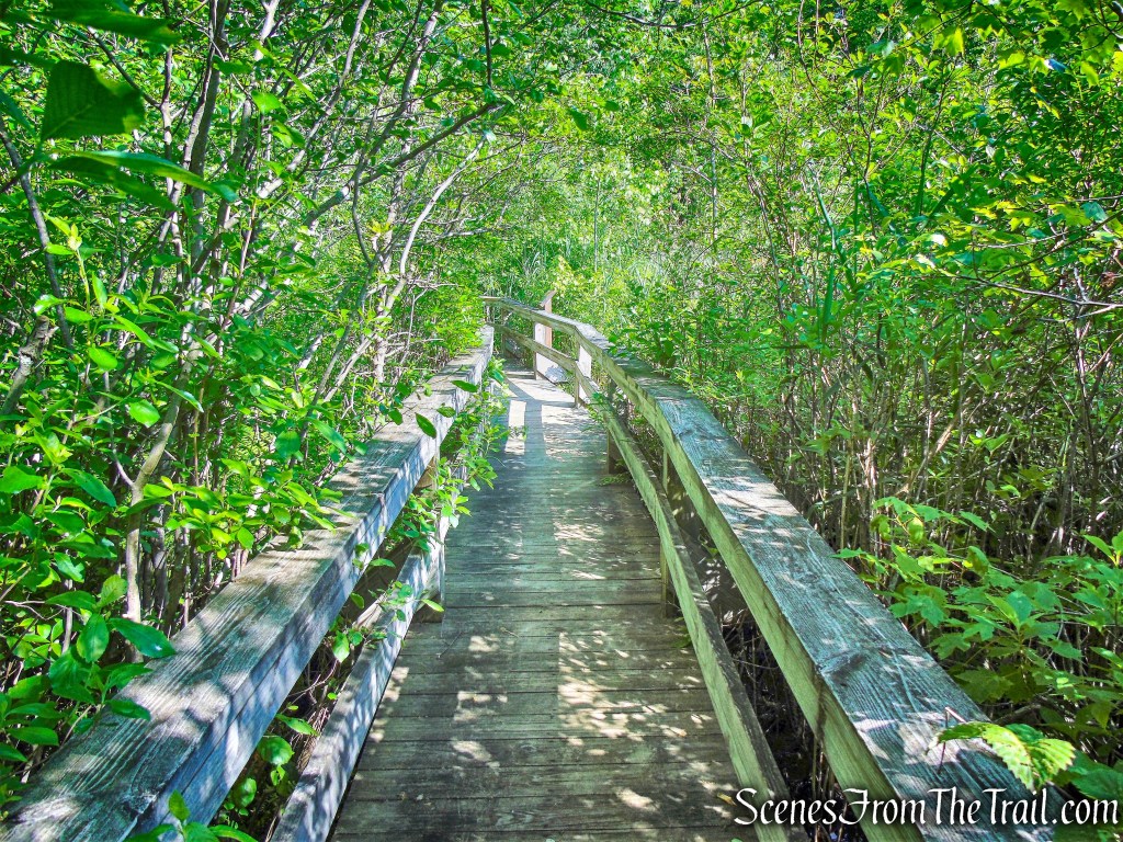Cranberry Lake Preserve Loop
