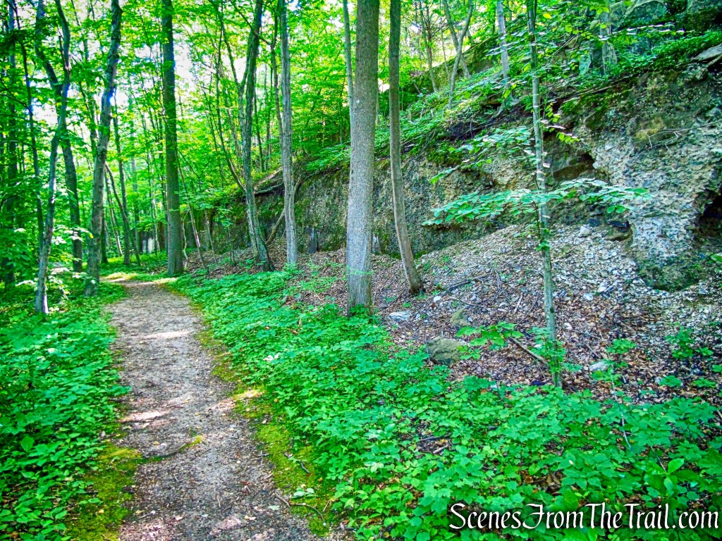 Cranberry Lake Preserve Loop