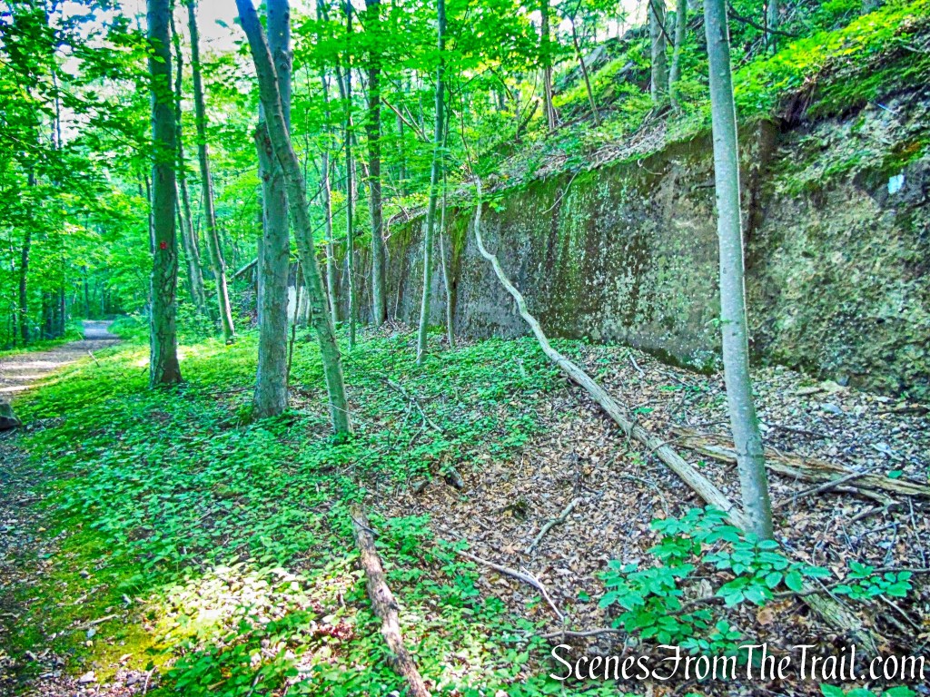 Cranberry Lake Preserve Loop