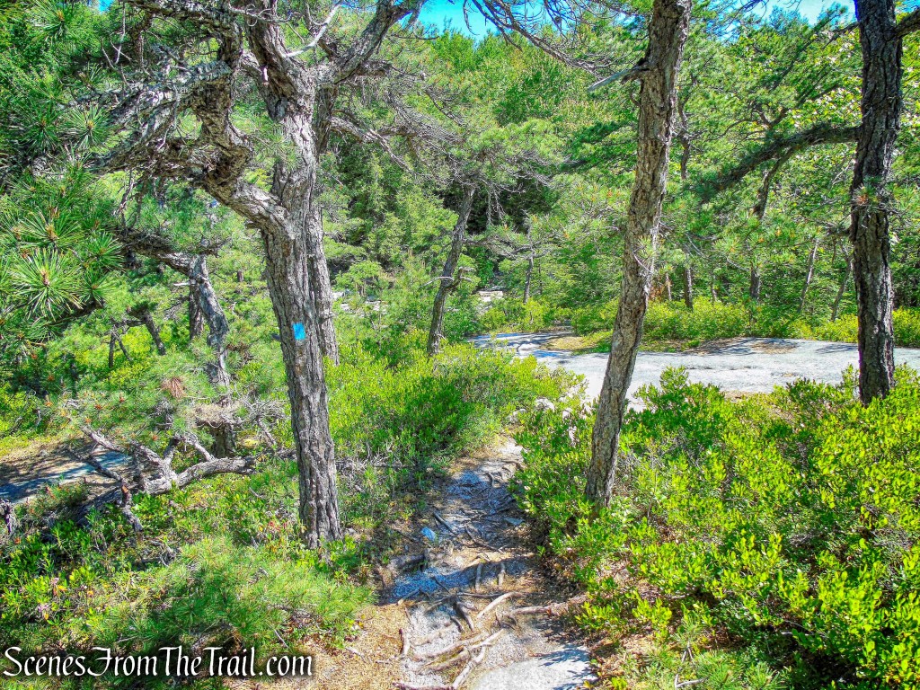 Rainbow Falls Loop – Minnewaska State Park Preserve