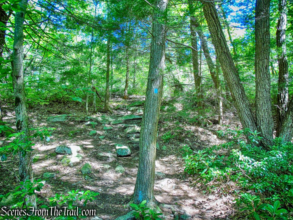 Rainbow Falls Loop – Minnewaska State Park Preserve