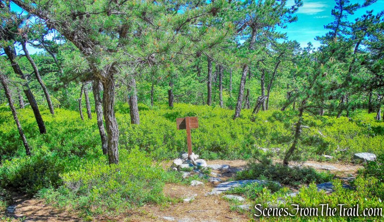 Rainbow Falls Loop – Minnewaska State Park Preserve