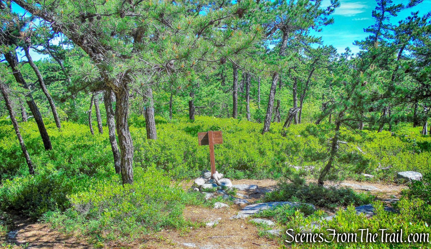 Rainbow Falls Loop – Minnewaska State Park Preserve