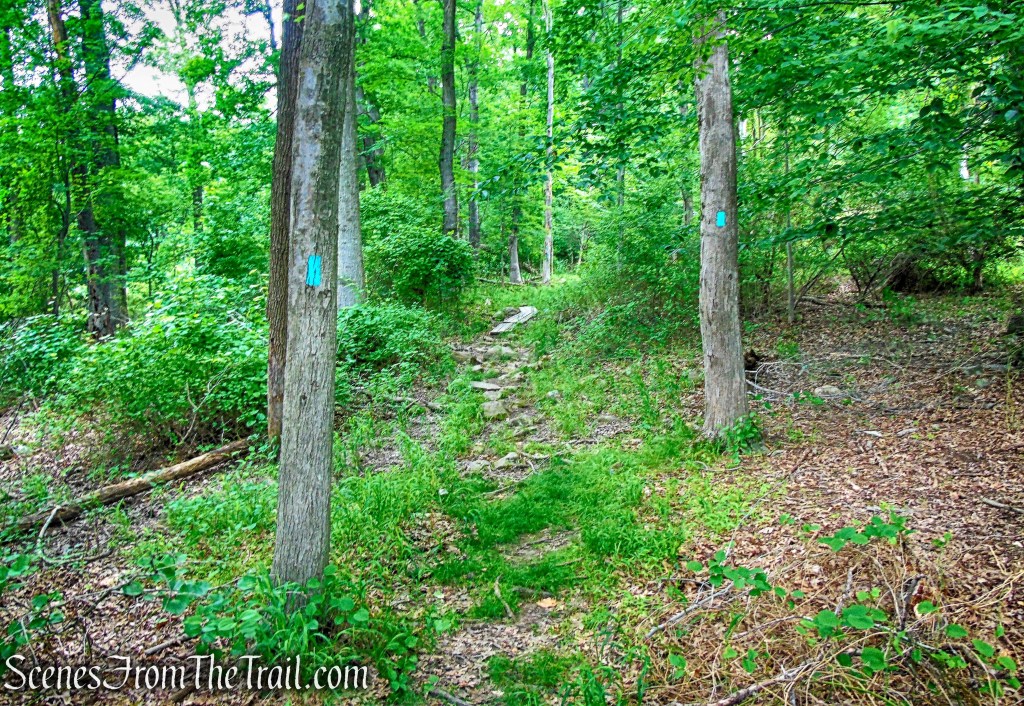 High Tor – Hudson River Palisades