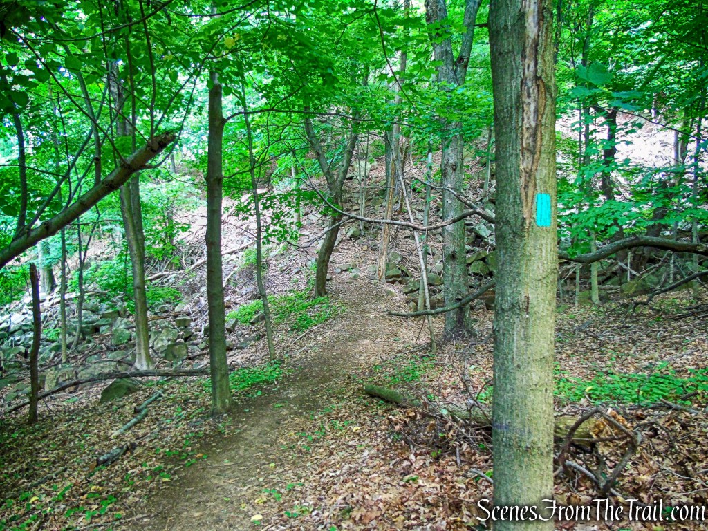 High Tor – Hudson River Palisades